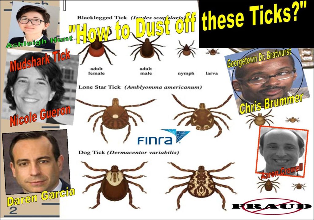 Nicole Gueron, Tiny Clarick Gueron Reisbaum Law Firm, RACIST Lawyer